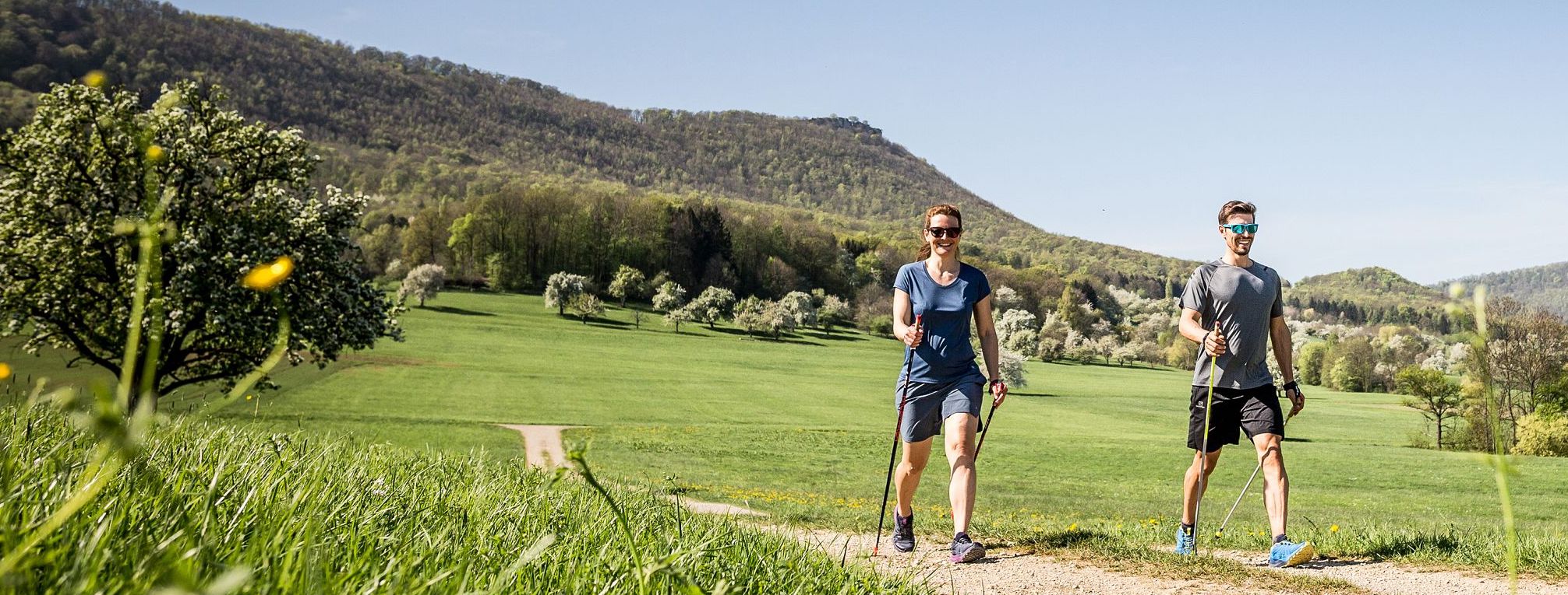 Surrey Striders Nordic Walking – Getting fit and having fun outdoors